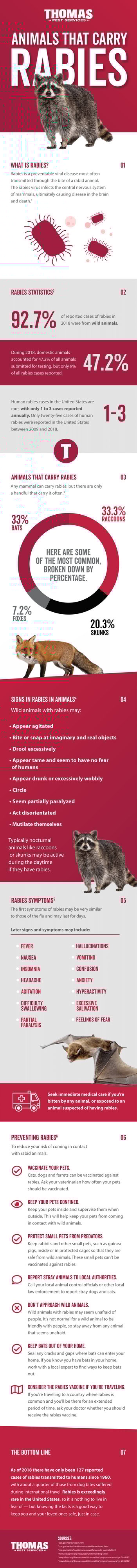 Animals That Carry Rabies - Infographic | Thomas Pest