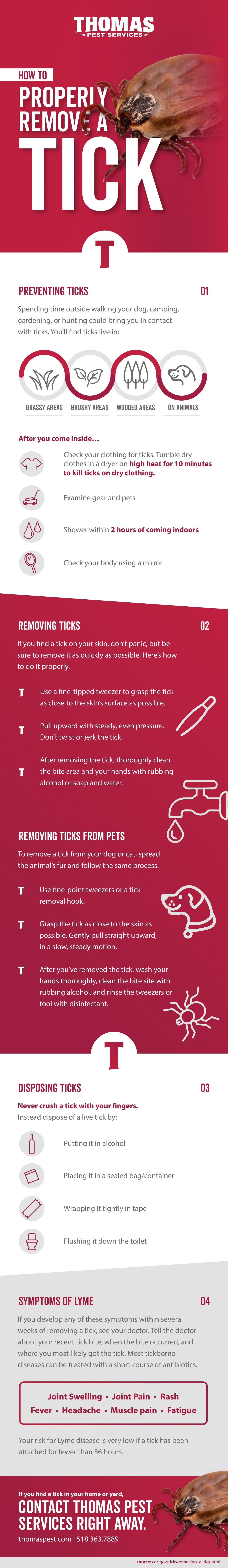 Properly Removing a Tick - Infographic | Thomas Pest