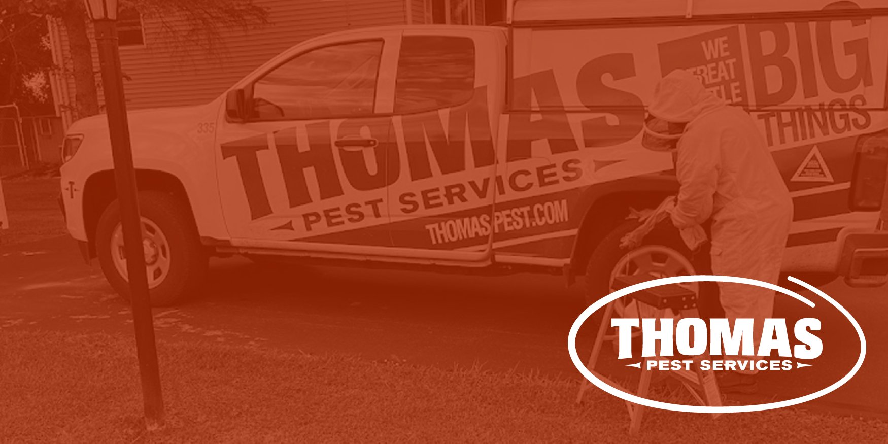 Using Mouse Traps to Get Rid of Mice