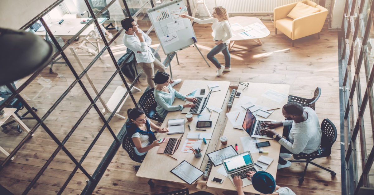 Bugs and Pests in the Office!