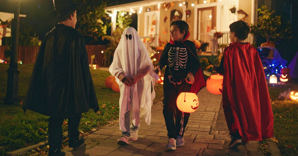 Creepy Pests this Halloween